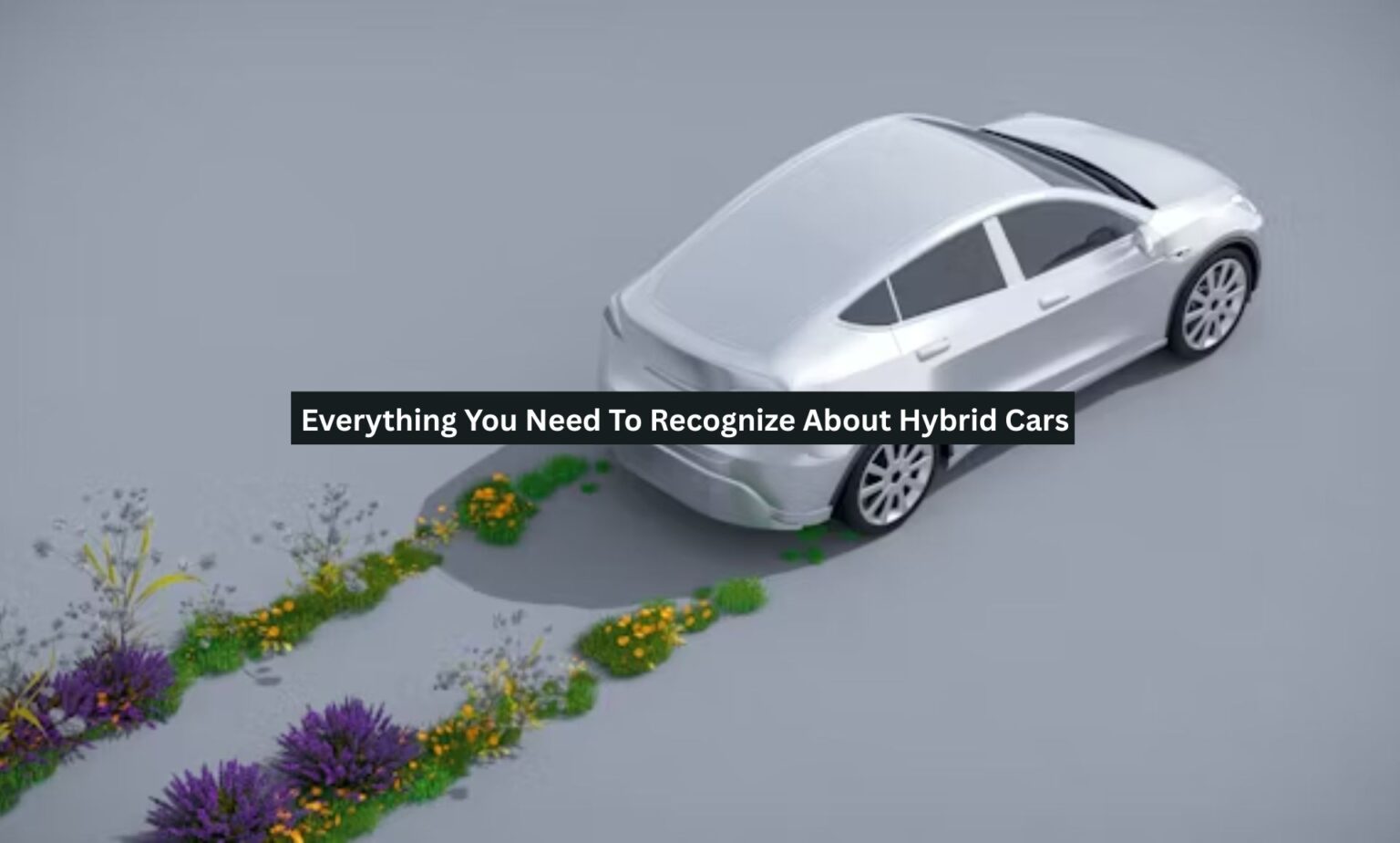 Everything You Need To Recognize About Hybrid Cars - Drive Best Cars